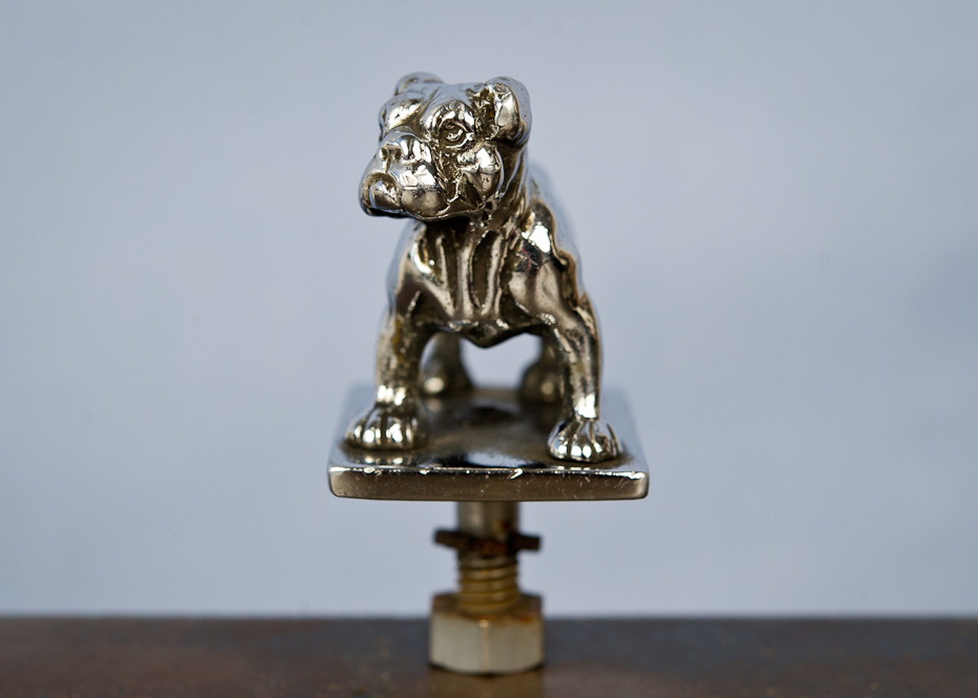 Chrome Bulldog Car Bonnet, Small Scale - Grahame Fowler Original - Men ...